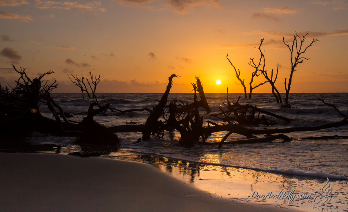 Wild Beach at Hunting Island - danandholly.com