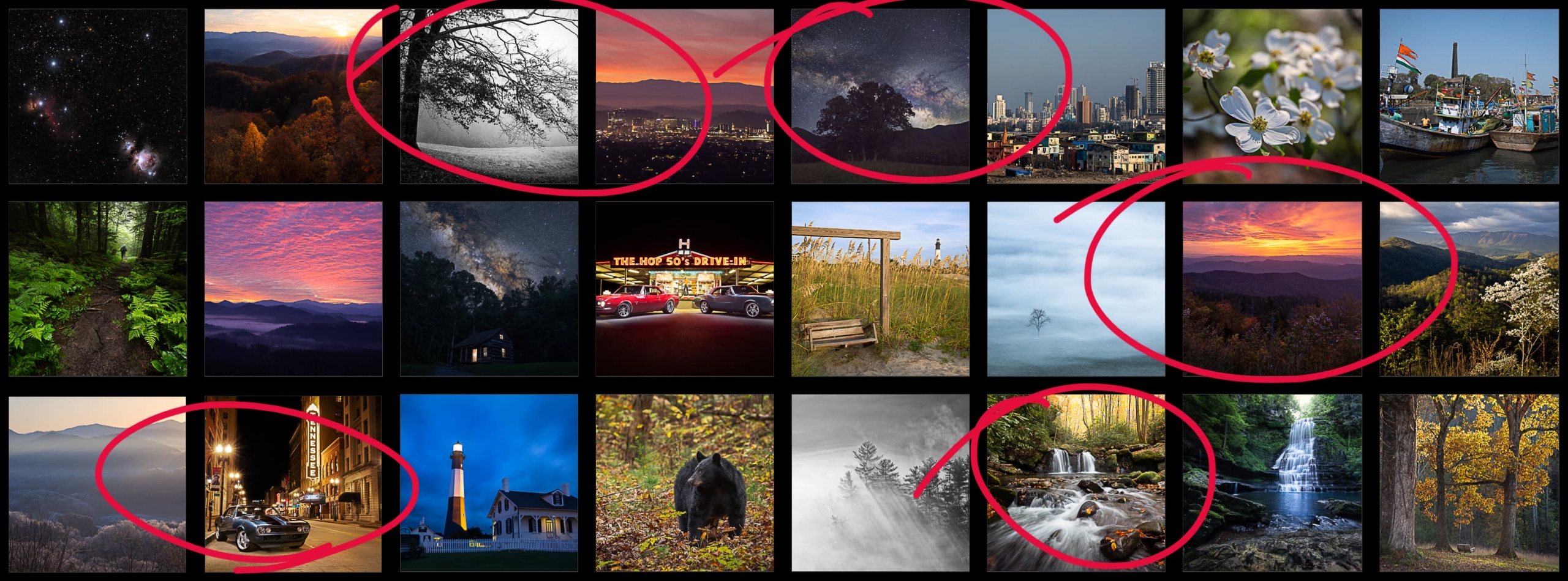 My 5 Favorite Photos from 2020 - danandholly.com