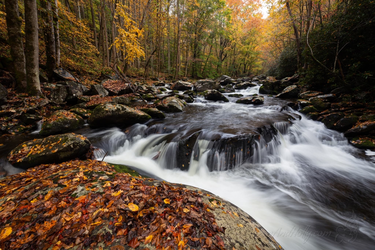 2020 Autumn Stream Scene Extravaganza - danandholly.com