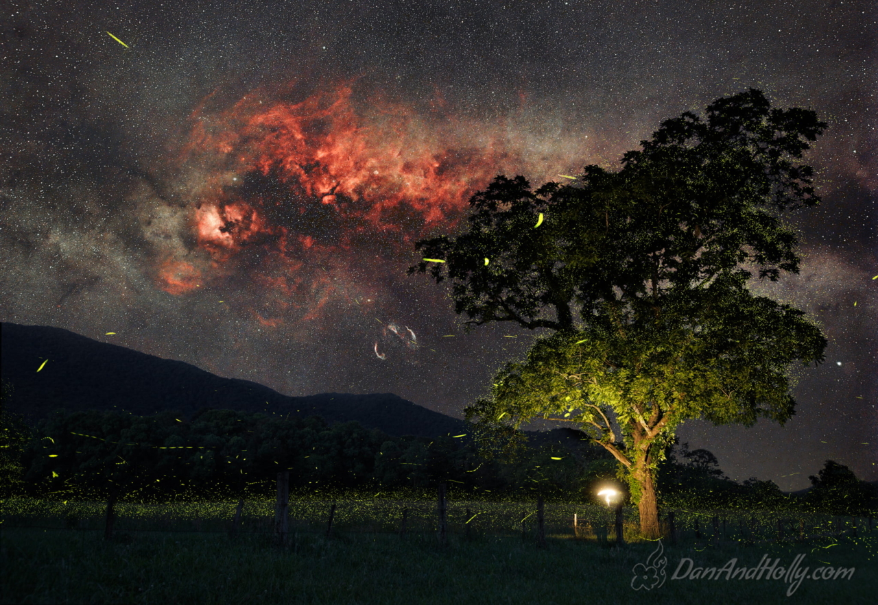 Fireflies and the Swan | danandholly.com