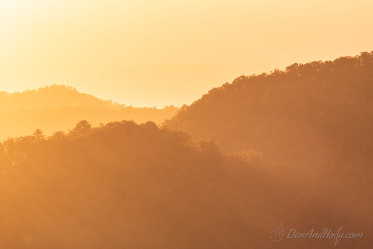 Golden Haze | danandholly.com